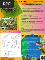 Control Etológico de Plagas Agrícolas | PDF | Feromona | Insectos