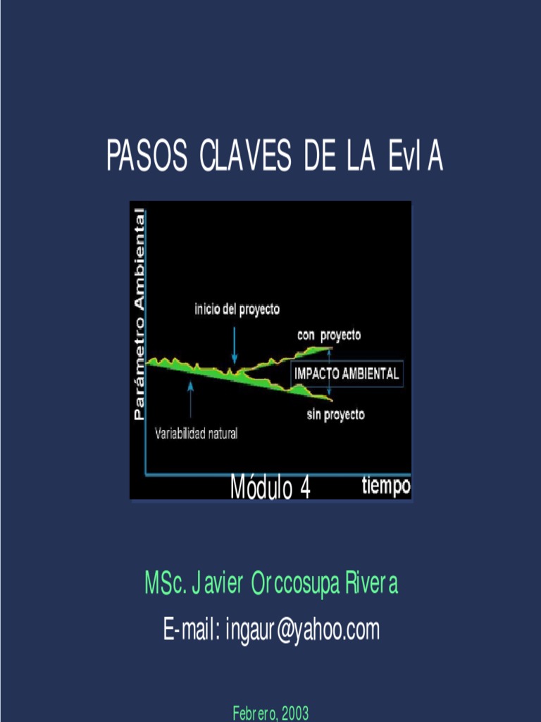 4 Pasos Claves de La EIA. | PDF | Evaluación de impacto ambiental | Gestión de recursos ambientales