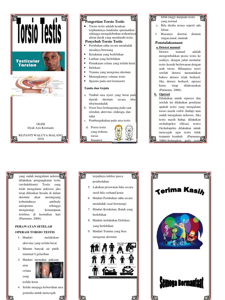 Leaflet Torsio Testis | PDF