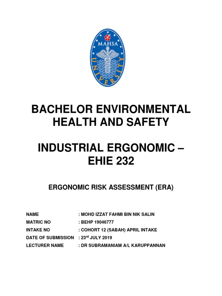 Ergonomic Assessment Report