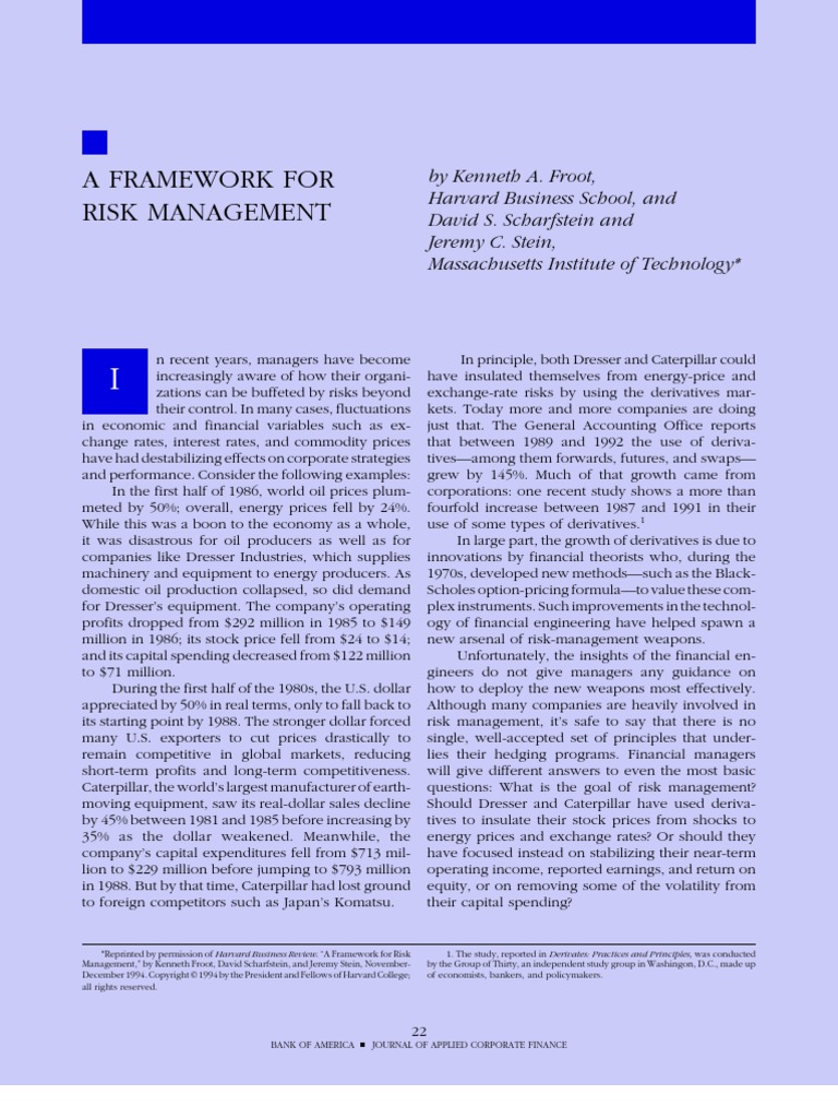 Framework For Risk Management | PDF