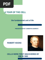 Science Class 7 Dav Book | PDF