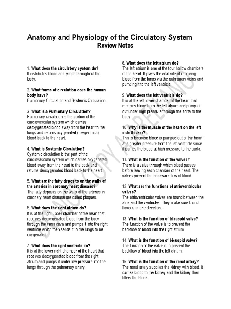 Anatomy and Physiology of The Circulatory System | PDF | Circulatory ...