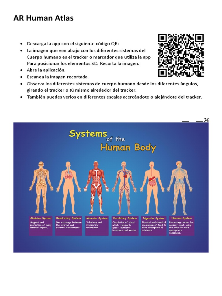 AR Human Atlas | PDF