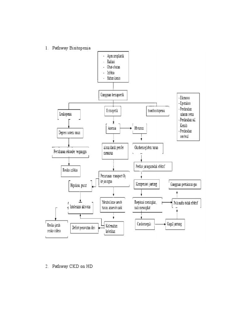 Pathway Bisitopenia | PDF
