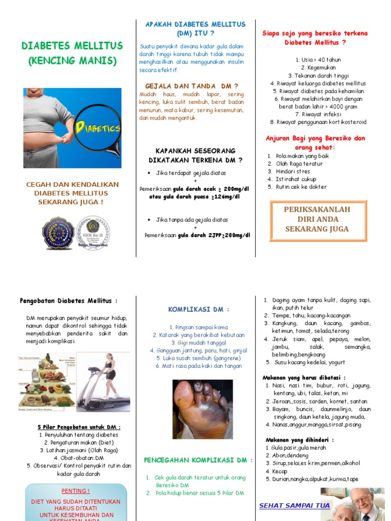 Pamflet Diabetes Mellitus | PDF
