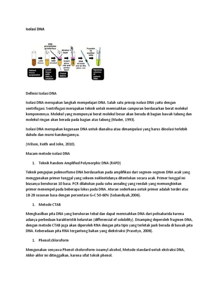 Isolasi DNA 1 | PDF