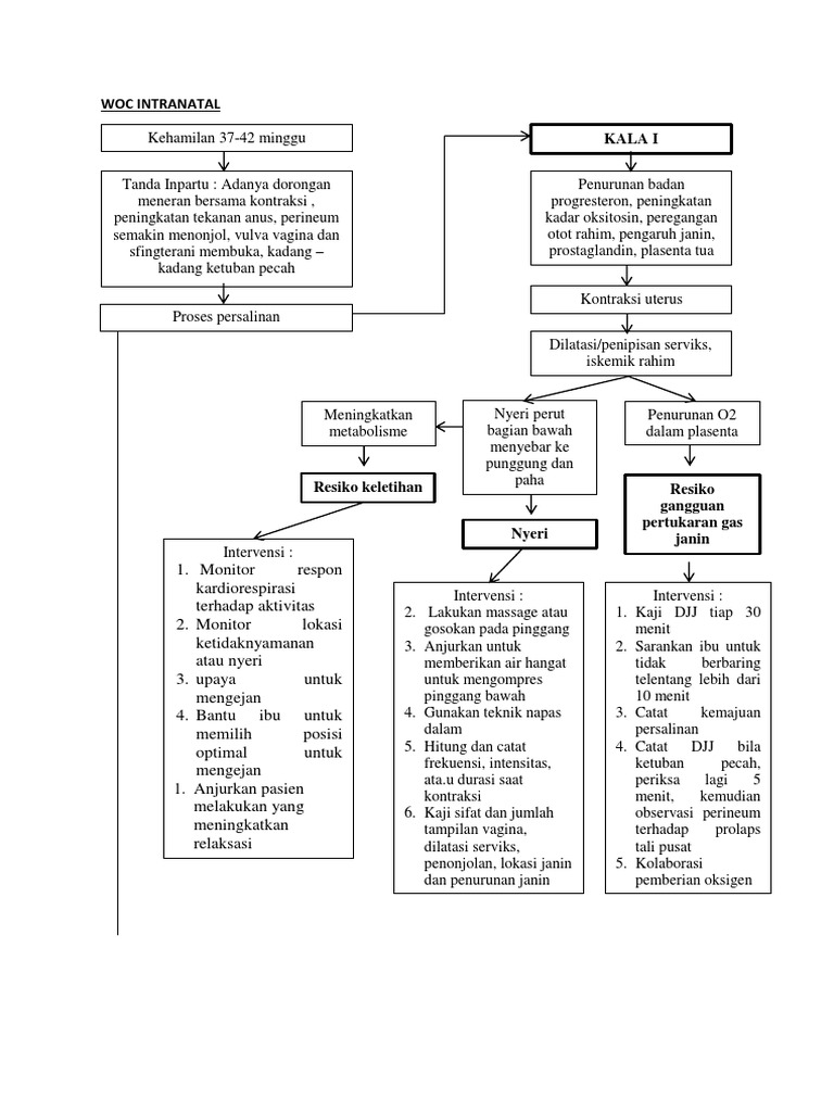 Woc Intranatal | PDF | Kesehatan Holistik