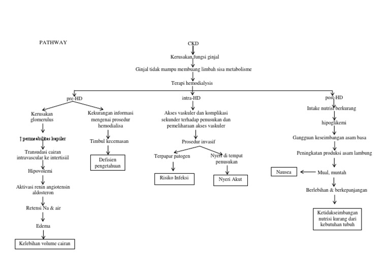 PATHWAY CKD On HD | PDF