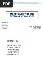 Anatomy of Maxillary Central Incisor | PDF | Dental Anatomy | Dentistry ...