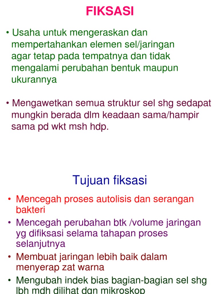 FIKSASI | PDF