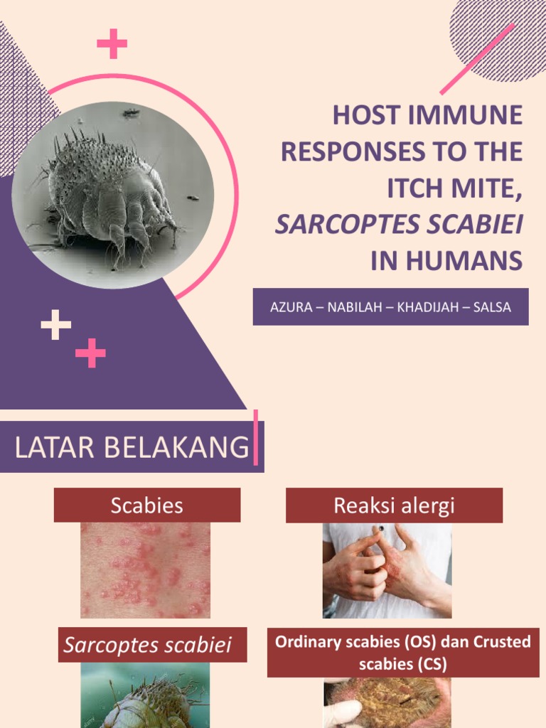 Ektoparasit Edit | PDF