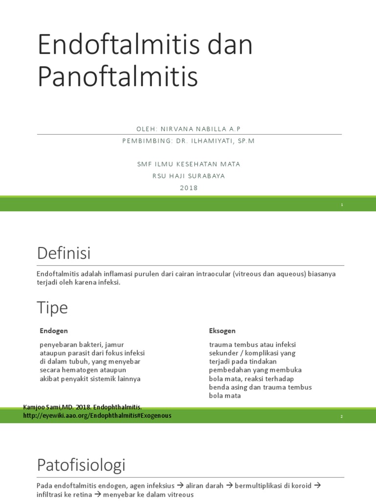 Endoftalmitis Dan Panoftalmitis | PDF