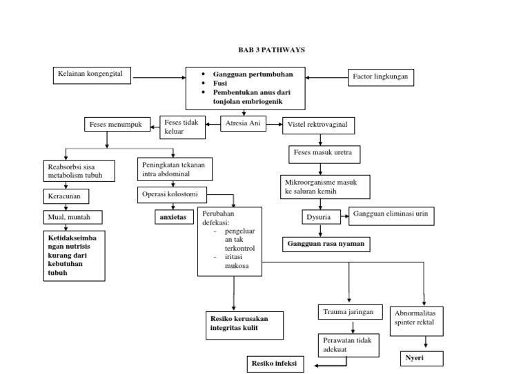 Bab 3 Pathways | PDF