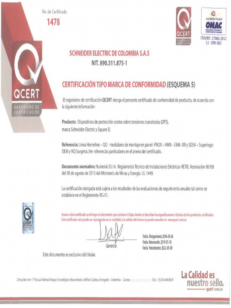 Certificado DPS | PDF