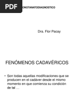 Fase Cromatica, Enfisematosa, Licuefactiva, Esqueletización y ...