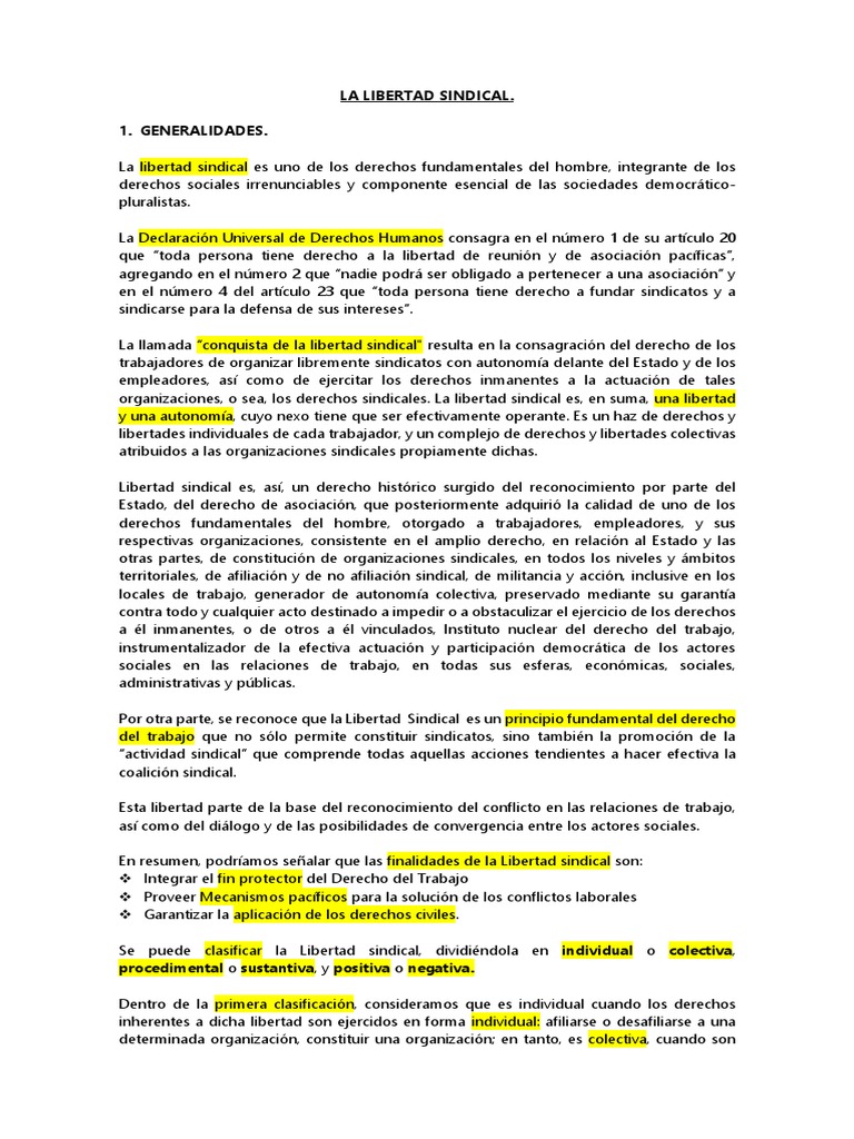 La Libertad Sindical | PDF | Sindicato | Derecho laboral