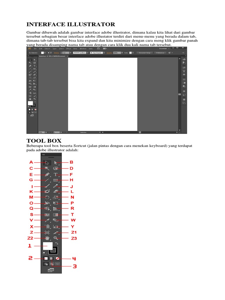 Interface Illustrator | PDF