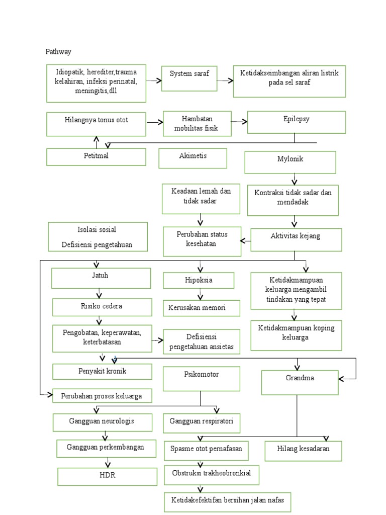 Pathway Epilepsi | PDF