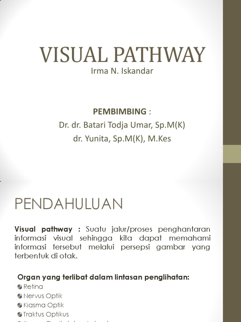 Visual Pathway, Basic Reading PDF | PDF