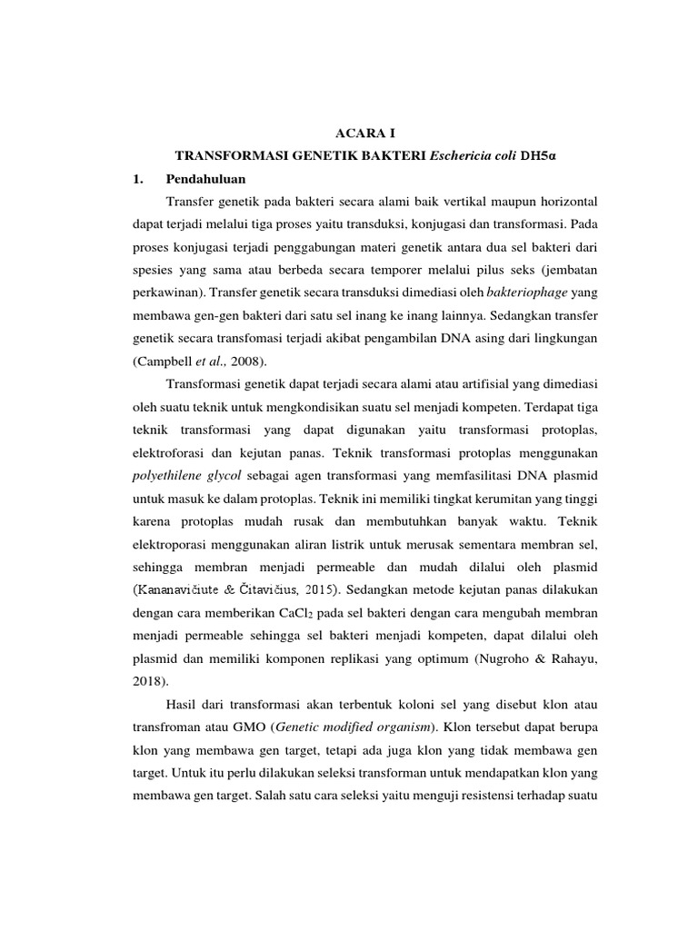 Transformasi Genetik E. coli DH5α dengan PRGEB32 | PDF