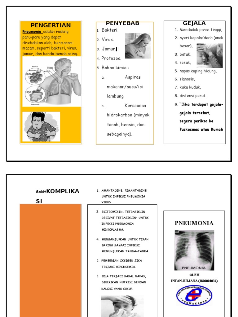 Leaflet Pneumonia | PDF