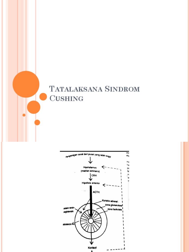 Tatalaksana Sindrom Cushing | PDF