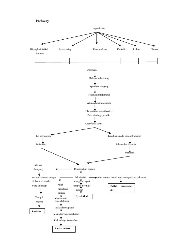 Pathway Apendisitis | PDF