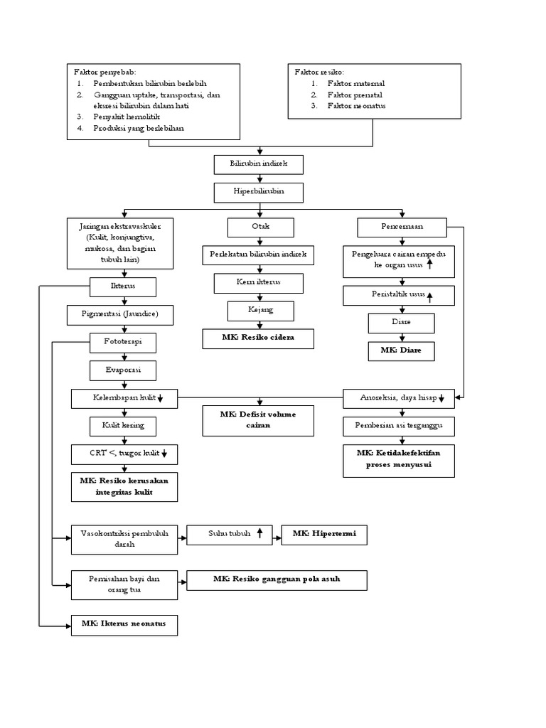 Hiperbilirubin PATOFISIOLOGI | PDF