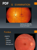 Ocular Fundus Drawing | PDF | Retina | Human Eye