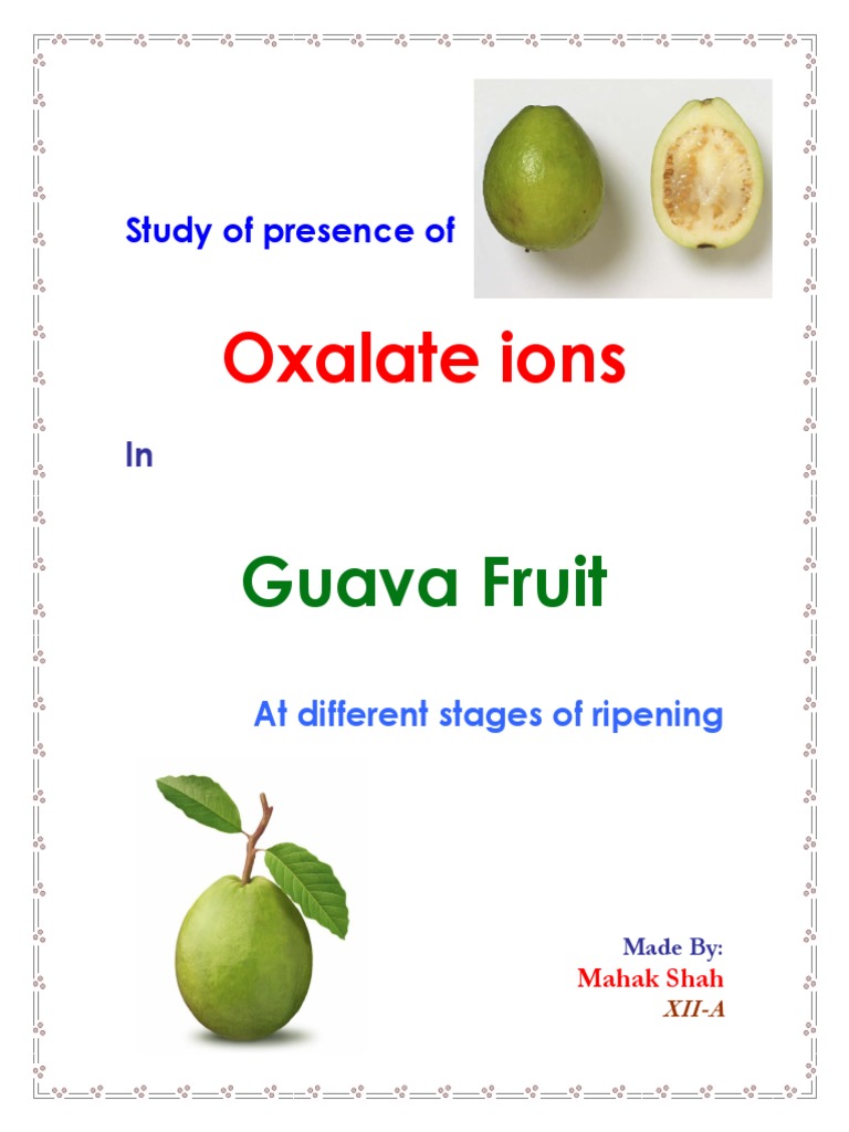 Chemistry Investigatory Project Presence of Oxalate Ions in Guava at ...