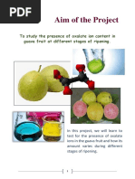 Class 12th Chemistry Project On Investigatory Test On Guava | PDF ...