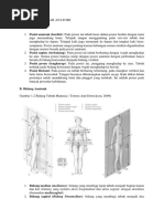 Istilah Gerakan Anatomi | PDF