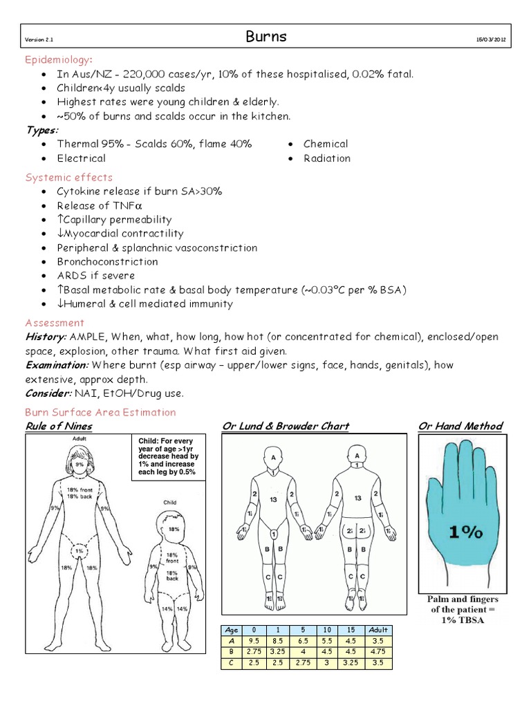 Burns PDF | PDF | Burn | Clinical Medicine