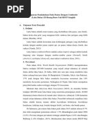 Asuhan Keperawatan Combustio Grade II | PDF