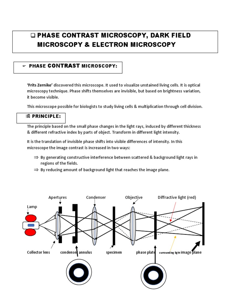 Phase Contrast Micros | PDF | Electron Microscope | Transmission Electron Microscopy