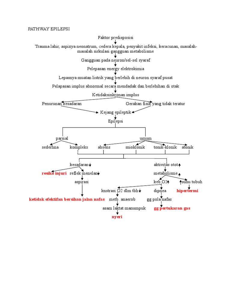 Pathway Epilepsi | PDF