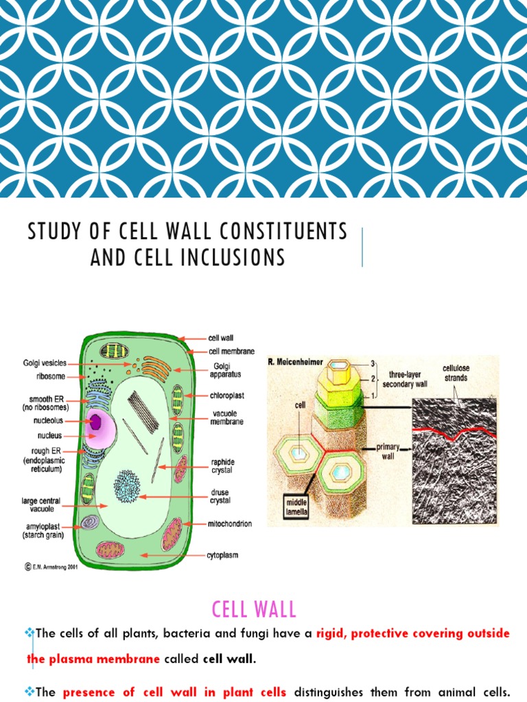 Study of cellwall constituents and cell inclusions | Cell Wall ...