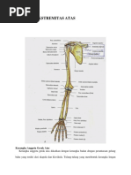 Anatomi Rangka Aksial Dan Apendikular | PDF