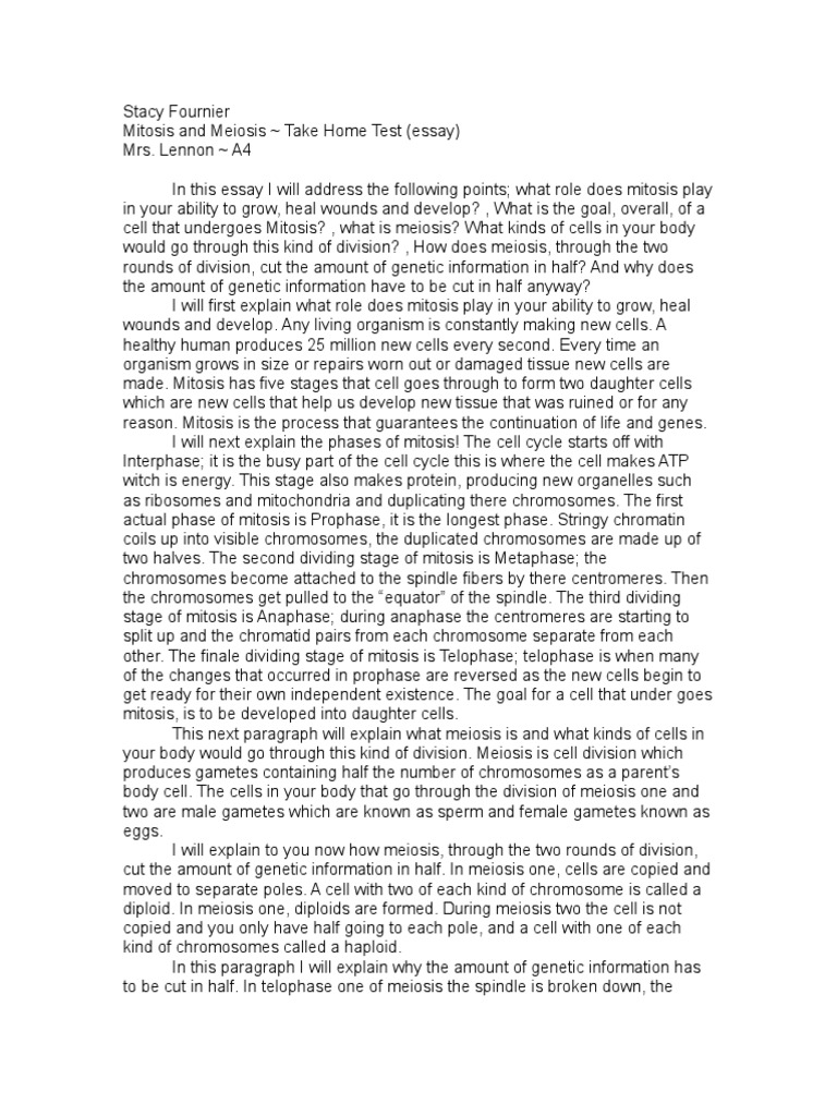 Biology Mitosis and Meiosis Essay | PDF | Meiosis | Mitosis