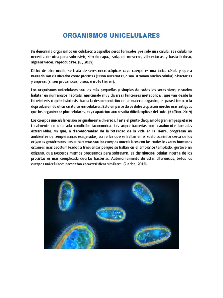 Características de los Organismos Unicelulares | PDF | Eucariotas ...