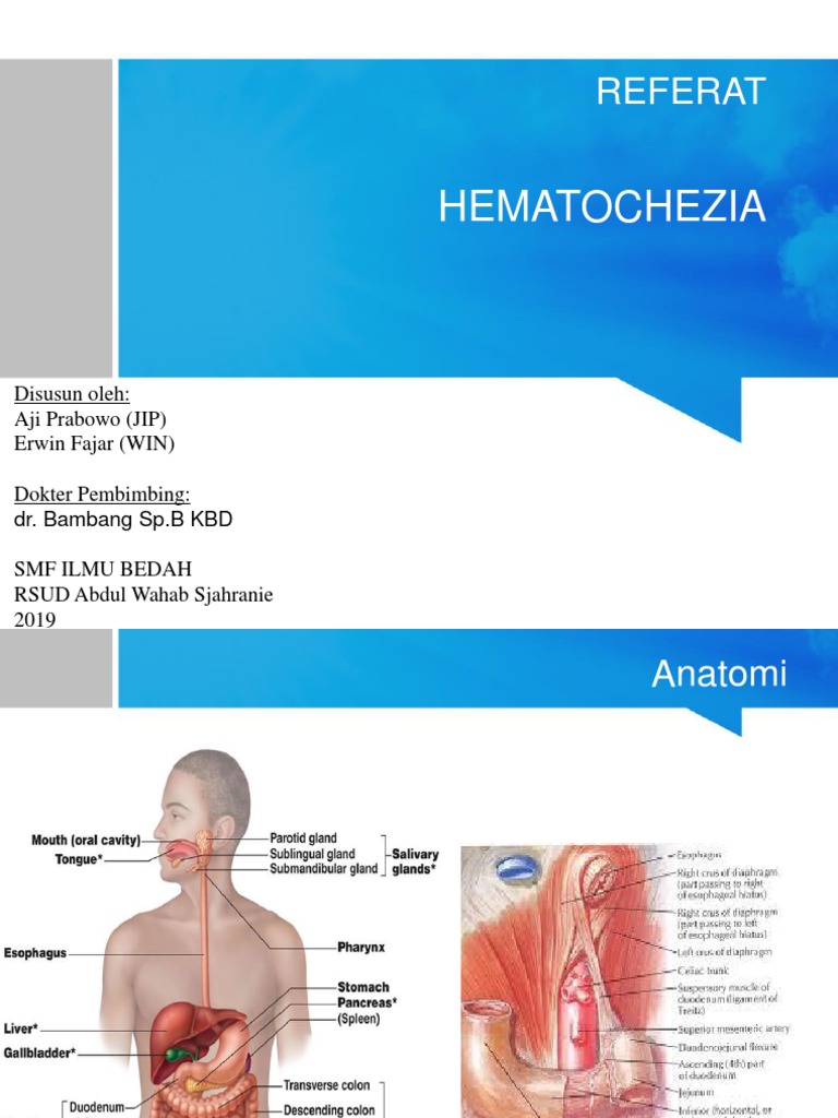 HEMATOCHEZIA + Sepsis Enterobacterial | PDF