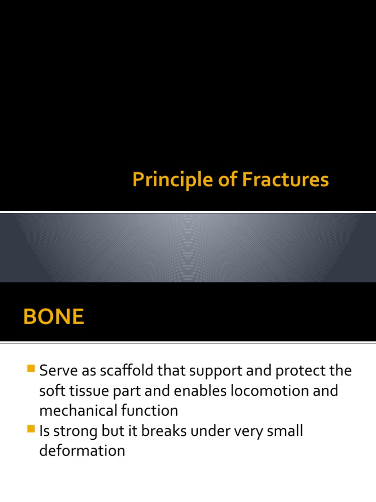 Principles of Bone Fracture Healing: A Guide to the Five Stages of the ...
