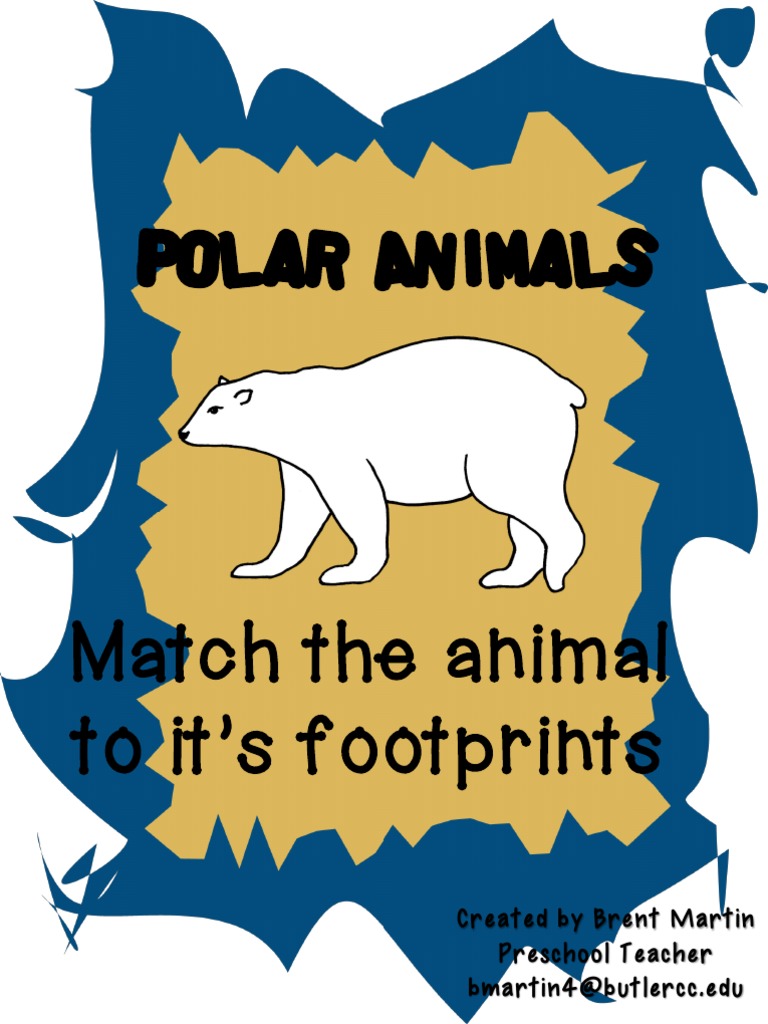 Arctic Animals Footprint Matching Activity | PDF