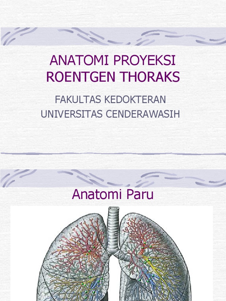 Proyeksi Anatomi Thorax | PDF