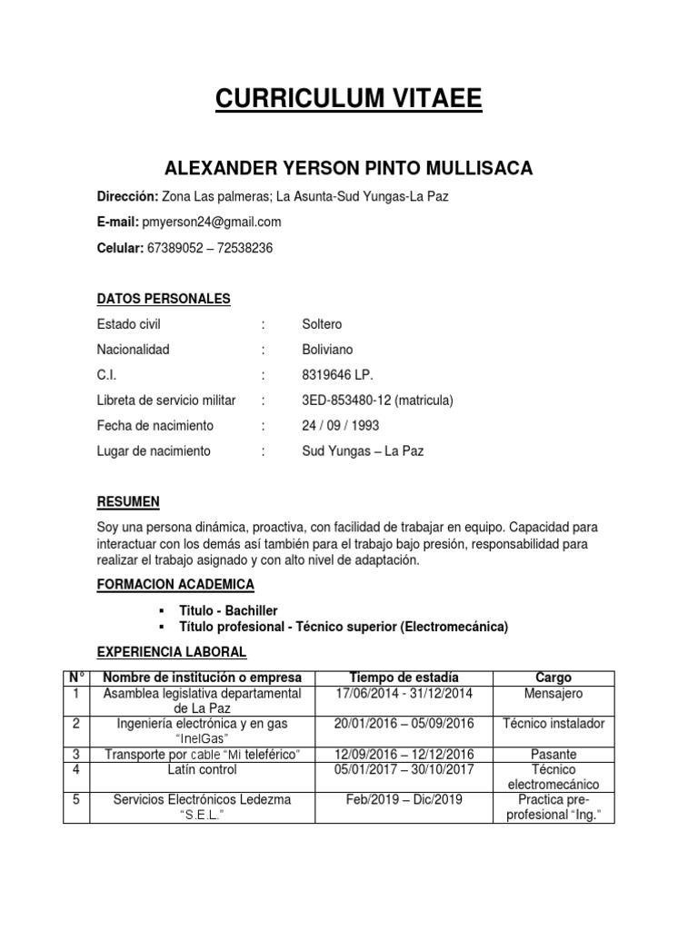 Curriculum Vitaee | PDF | Informática | Educación avanzada