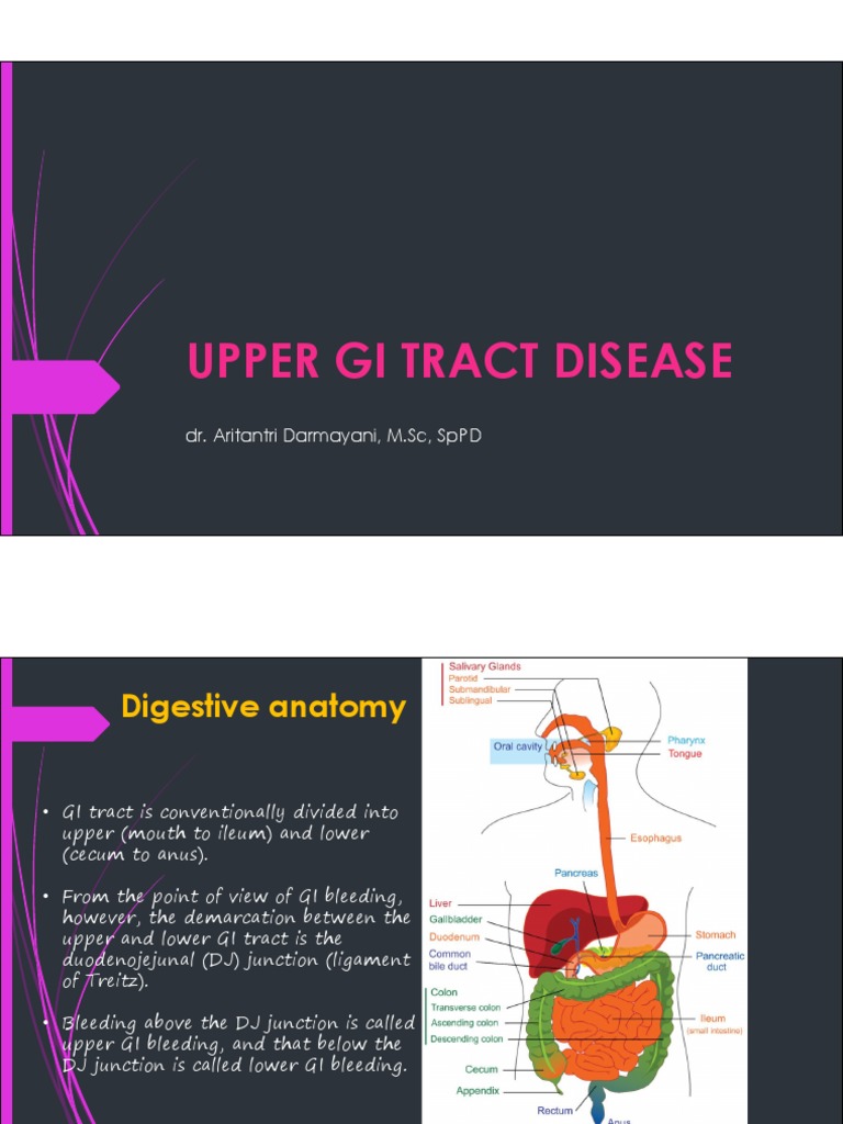 Upper GI Tract Disease Overview | PDF | Gastroesophageal Reflux Disease ...