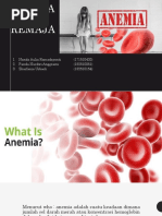 Leaflet Anemia | PDF