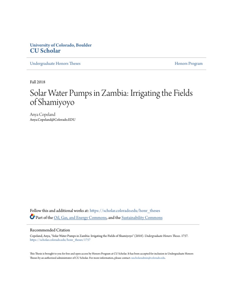 Solar Water Pumps in Zambia_ Irrigating the Fields of Shamiyoyo | Solar ...