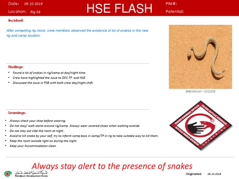 HSE Flash - SNAKE | PDF